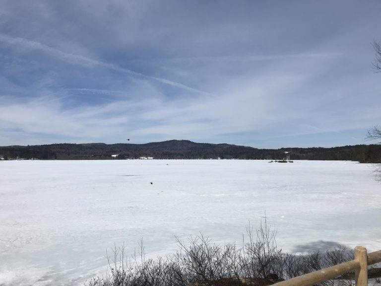 Spring Hello - Webster Lake Association